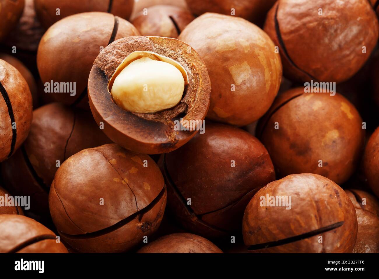 Texture of organic macadamia nut fresh natural fruit shelled one nut in ...