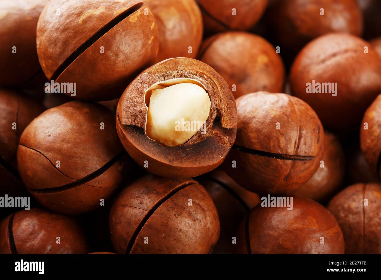 Texture of organic macadamia nut fresh natural fruit shelled one nut in ...