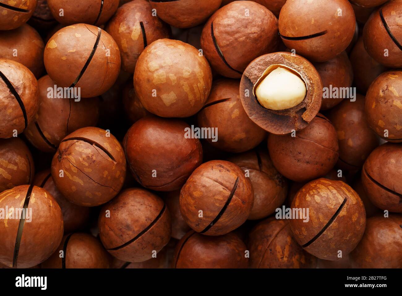 Texture of organic macadamia nut fresh natural fruit shelled one nut in ...