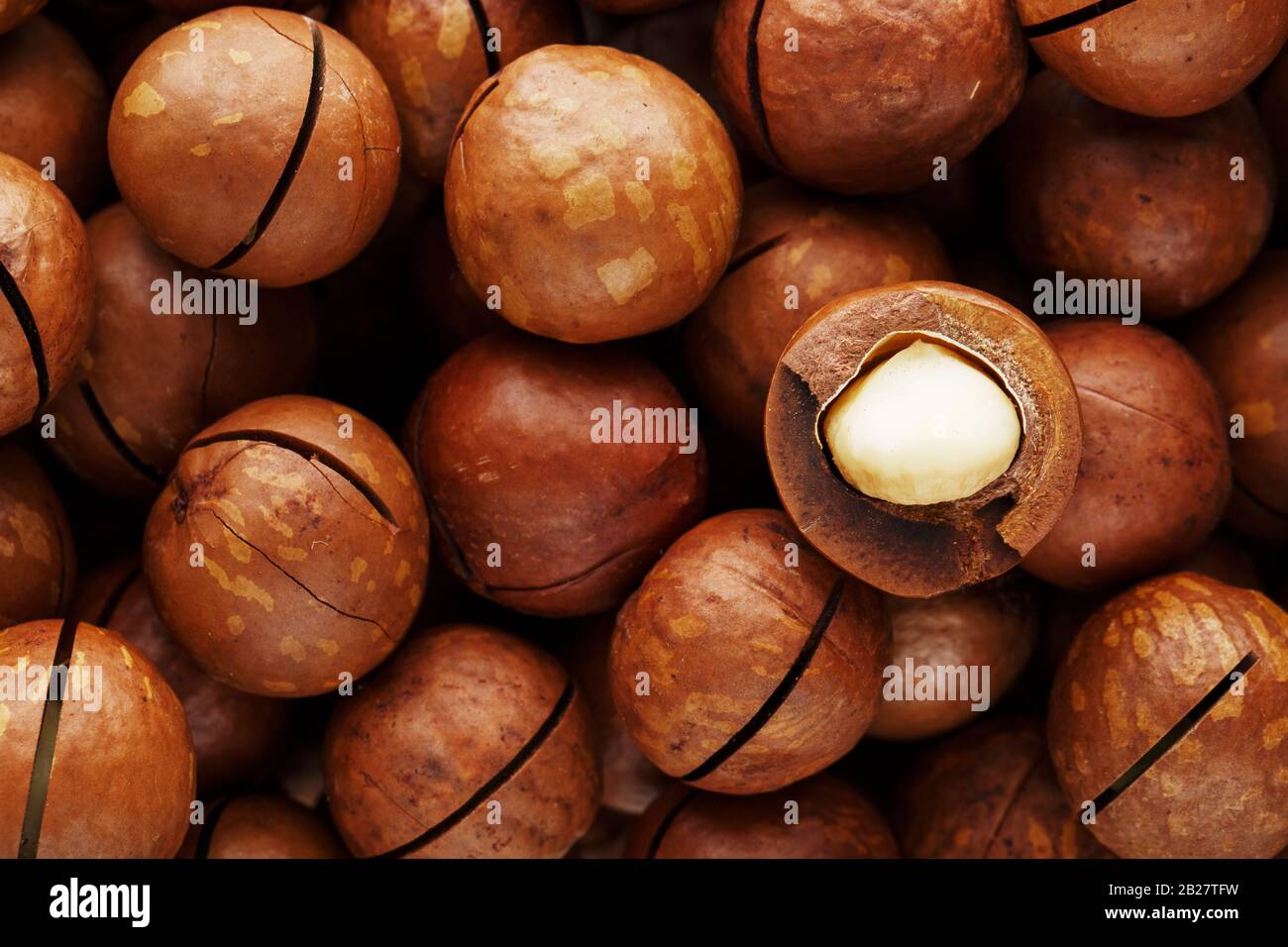Texture of organic macadamia nut fresh natural fruit shelled one nut in ... Texture of organic macadamia nut fresh natural fruit shelled one nut in ...