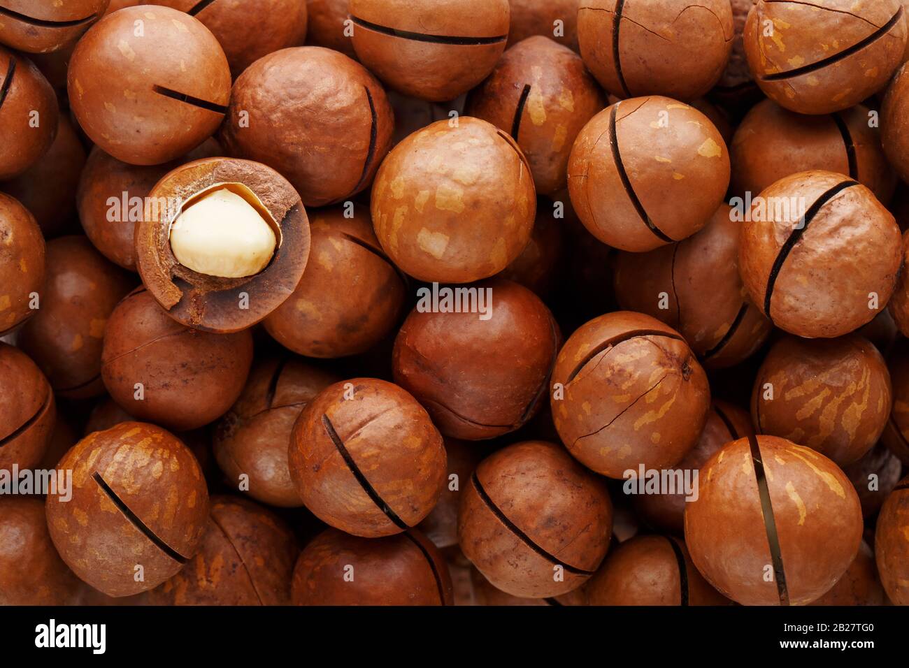 Texture of organic macadamia nut fresh natural fruit shelled one nut in ...