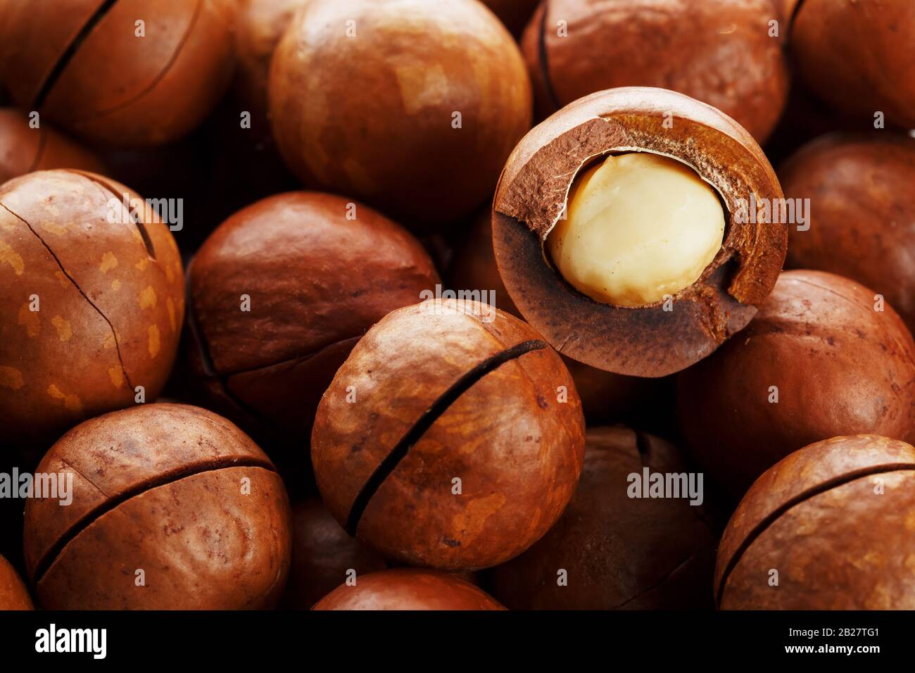 Texture of organic macadamia nut fresh natural fruit shelled one nut in ...