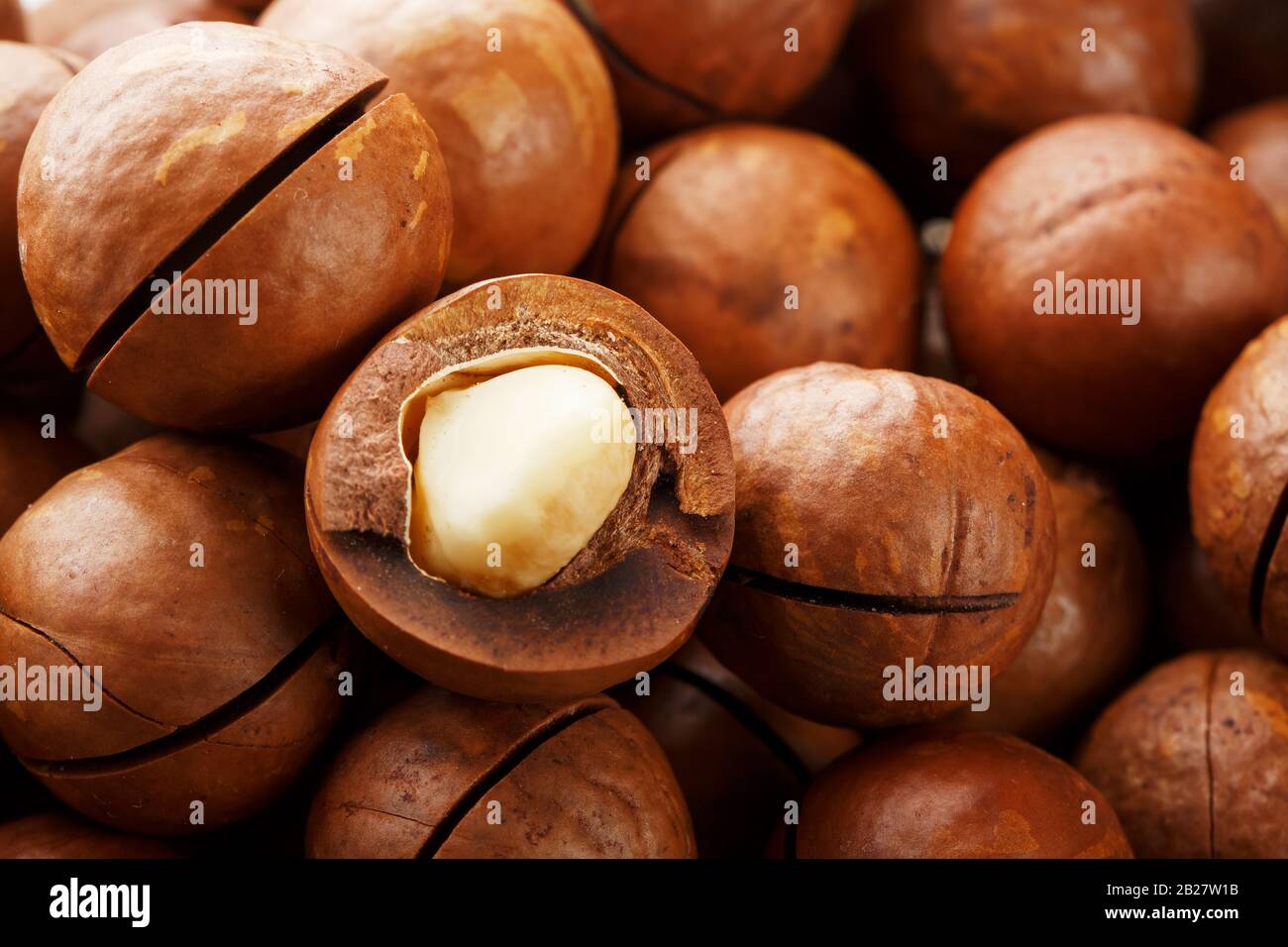 Texture of organic macadamia nut fresh natural fruit shelled one nut in ...
