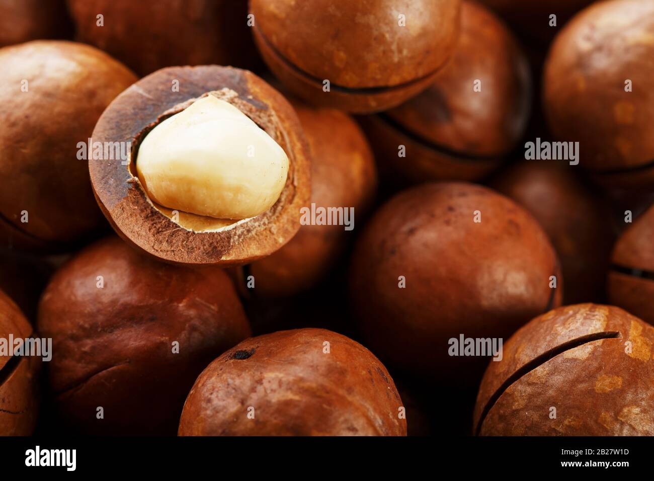 Texture of organic macadamia nut fresh natural fruit shelled one nut in ...