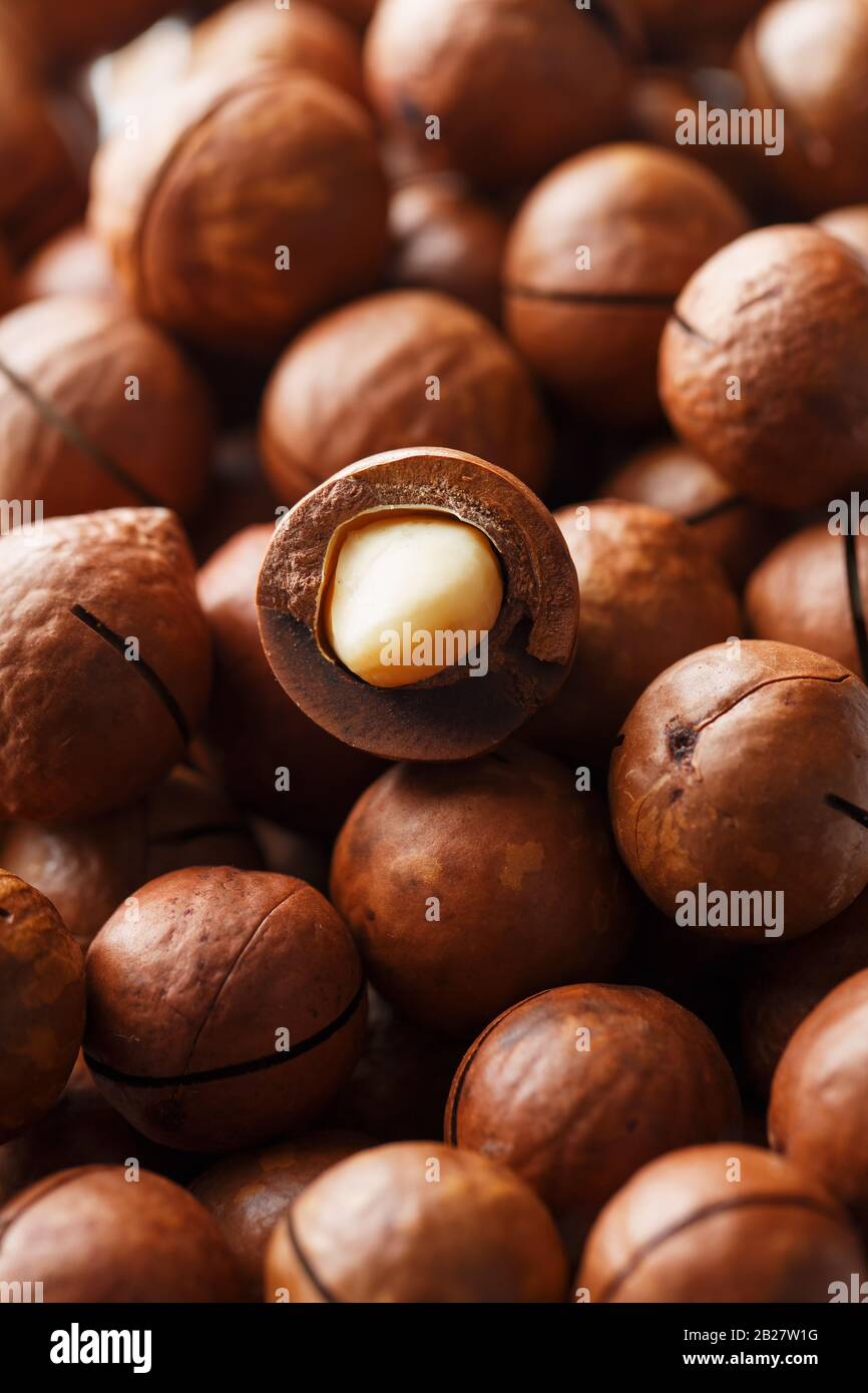 Texture of organic macadamia nut fresh natural fruit shelled one nut in full frame close-up view ...
