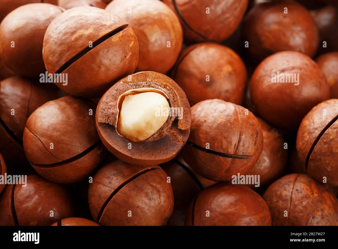 Texture of organic macadamia nut fresh natural fruit shelled one nut in ...