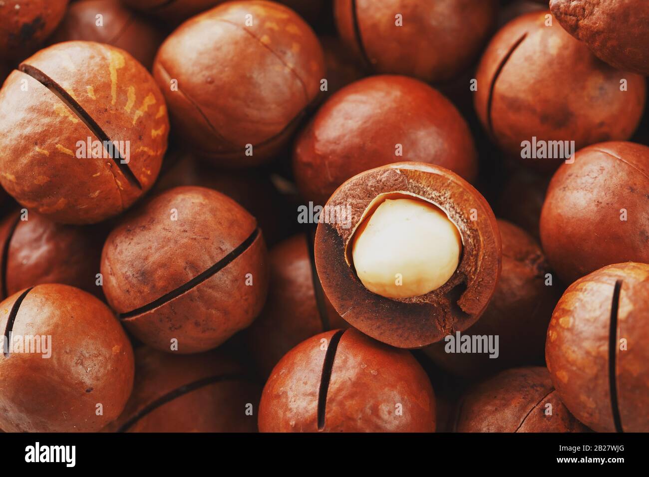 Texture of organic macadamia nut fresh natural fruit shelled one nut in ...