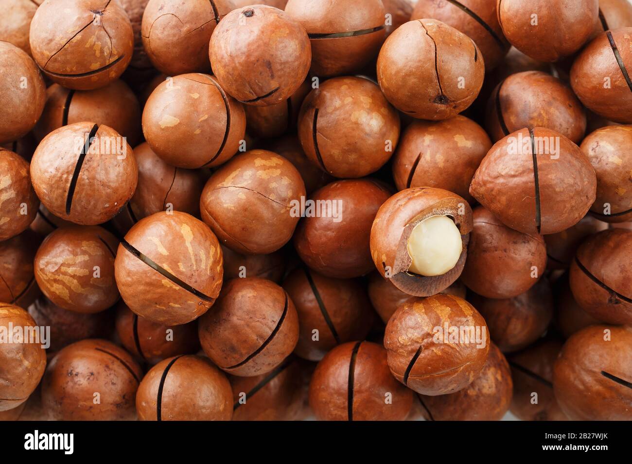 Texture of organic macadamia nut fresh natural fruit shelled one nut in ...