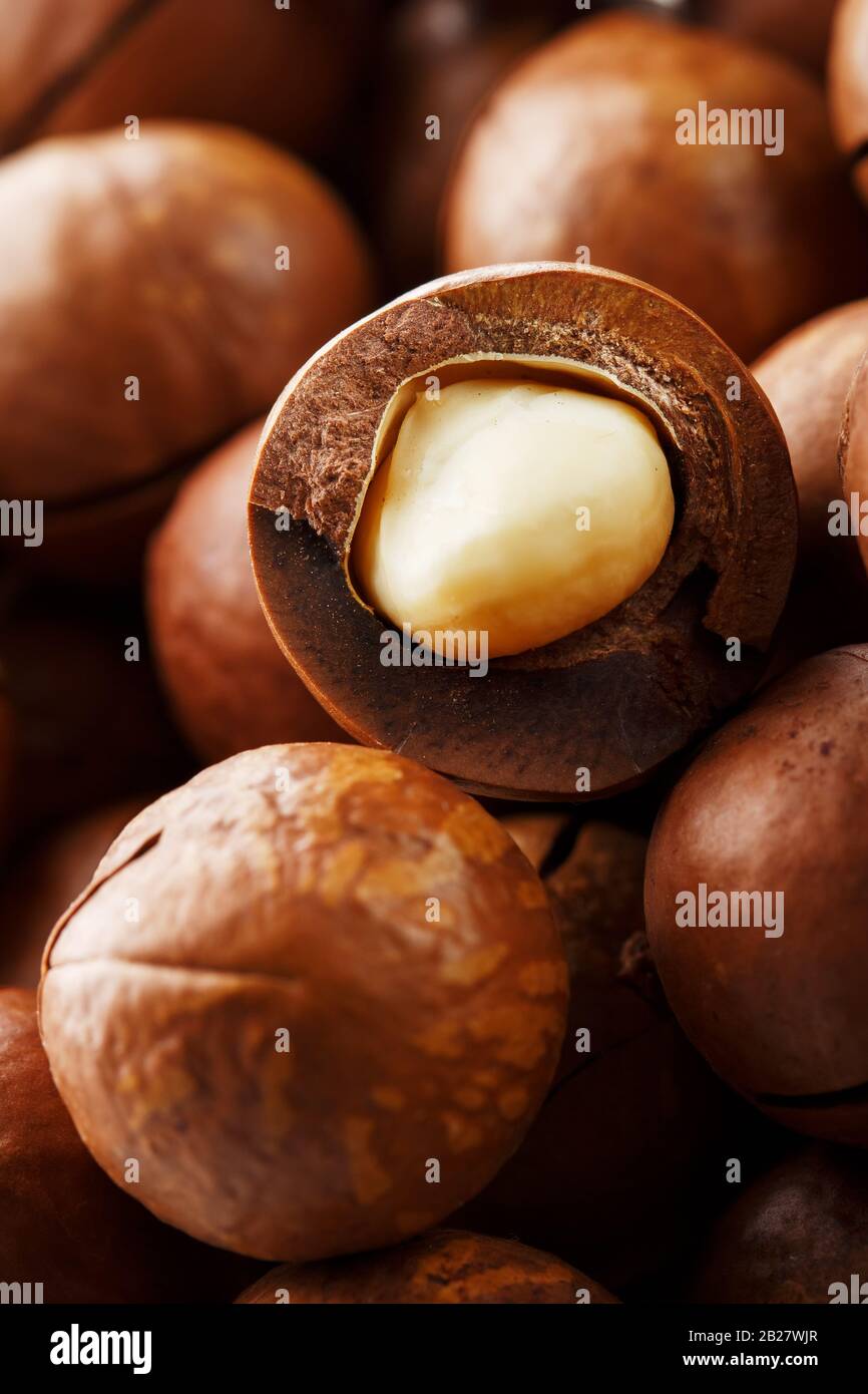 Texture of organic macadamia nut fresh natural fruit shelled one nut in ...