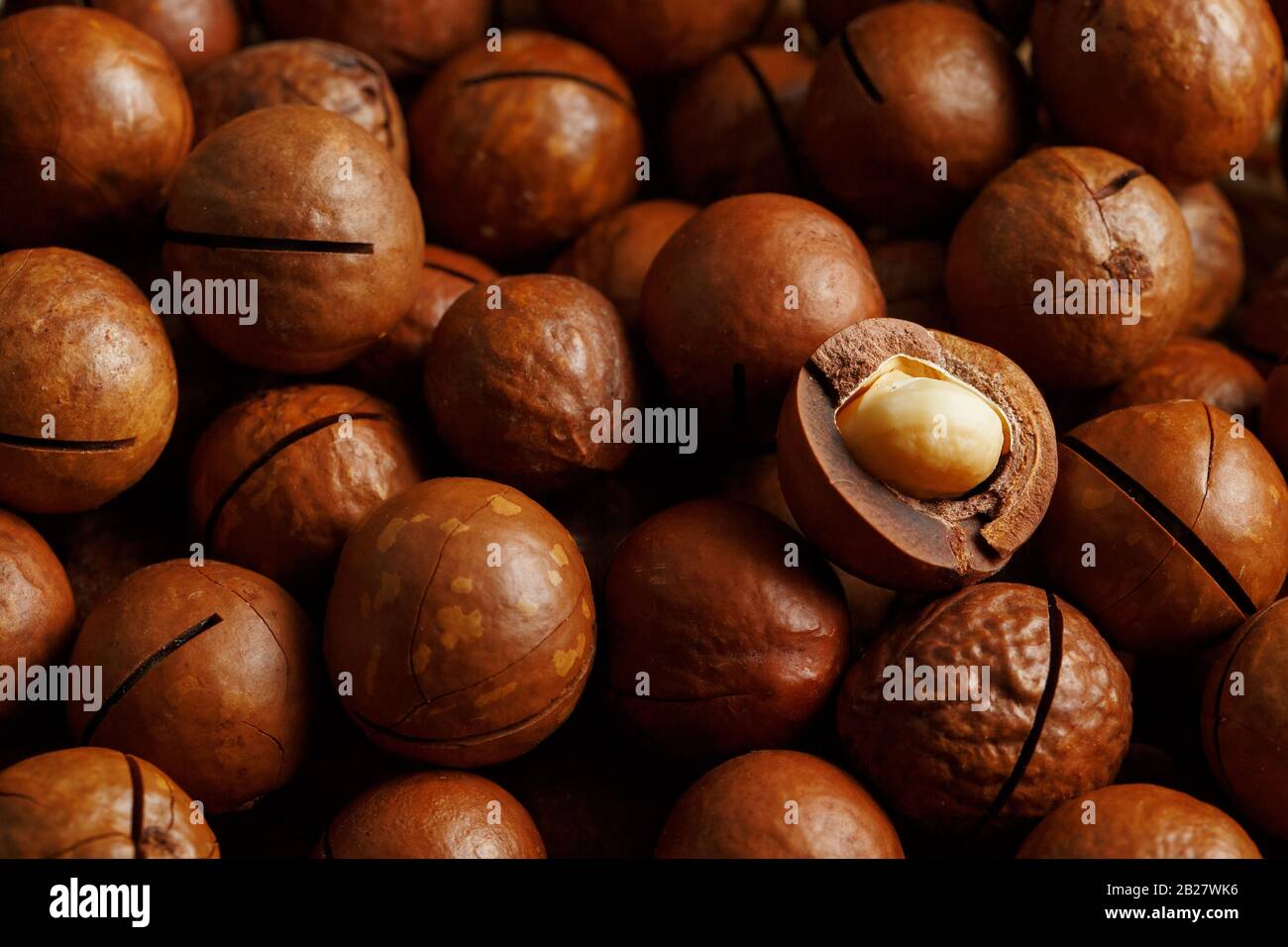 Texture of organic macadamia nut fresh natural fruit shelled one nut in ...