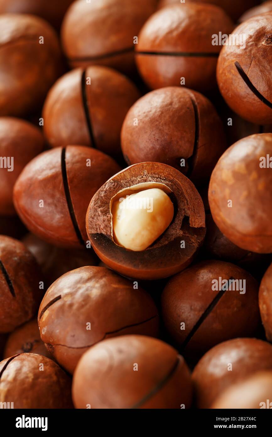 Texture of organic macadamia nut fresh natural fruit shelled one nut in ...