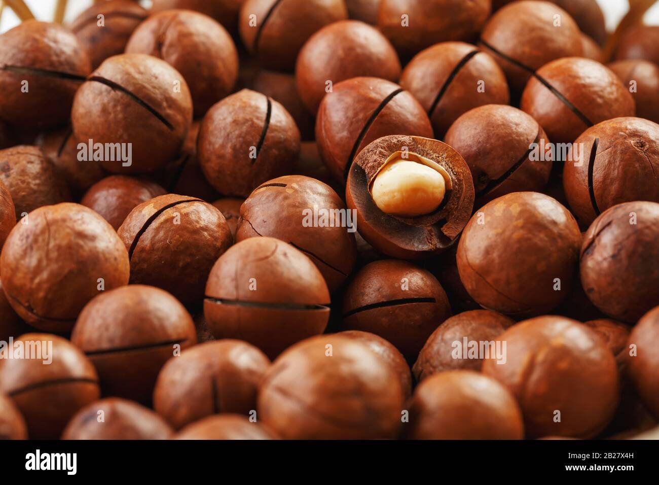 Texture of organic macadamia nut fresh natural fruit shelled one nut in ...
