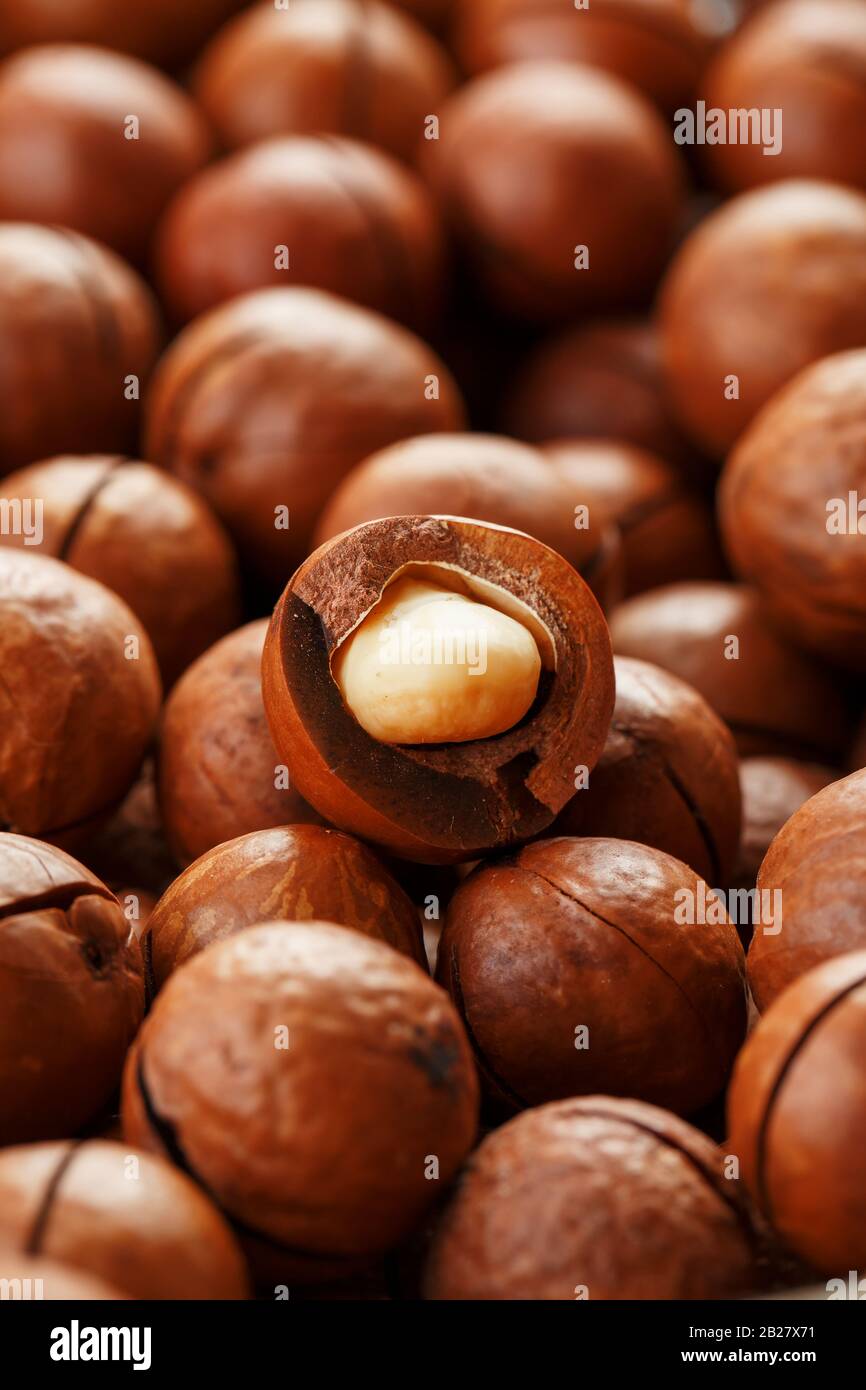 Texture of organic macadamia nut fresh natural fruit shelled one nut in ...