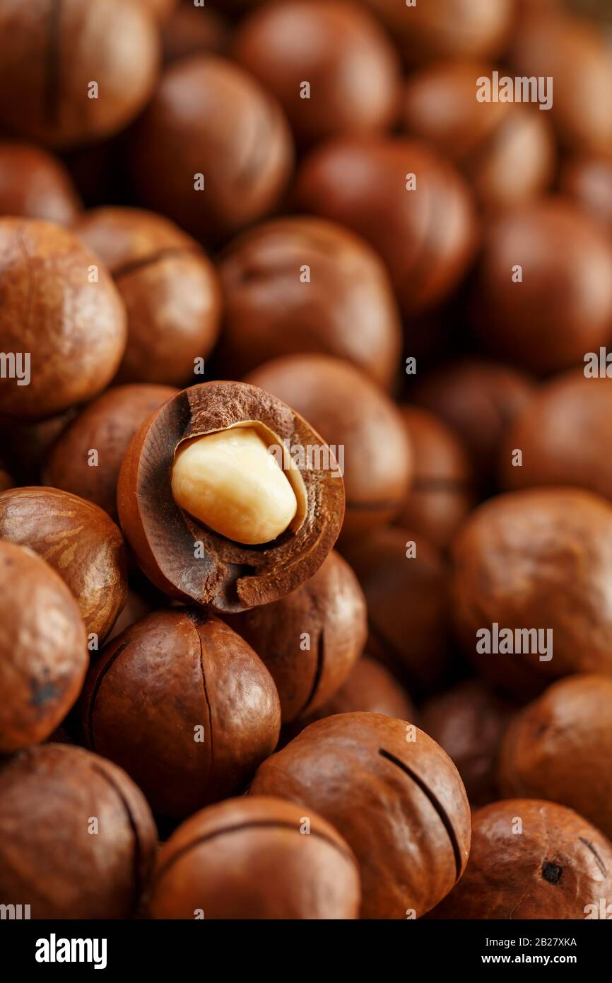 Texture of organic macadamia nut fresh natural fruit shelled one nut in ...