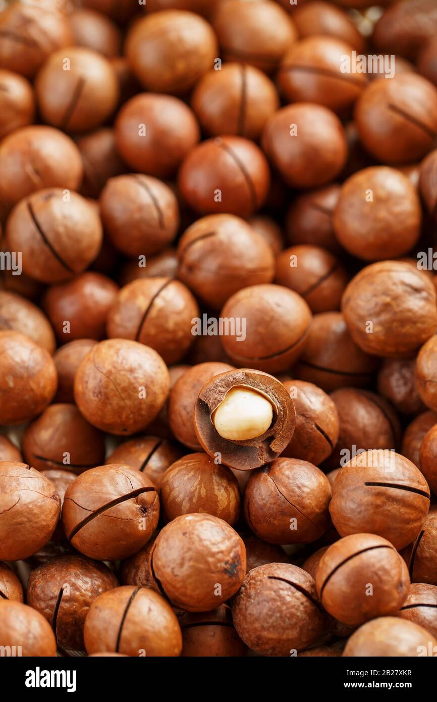 Texture of organic macadamia nut fresh natural fruit shelled one nut in full frame close-up view ...