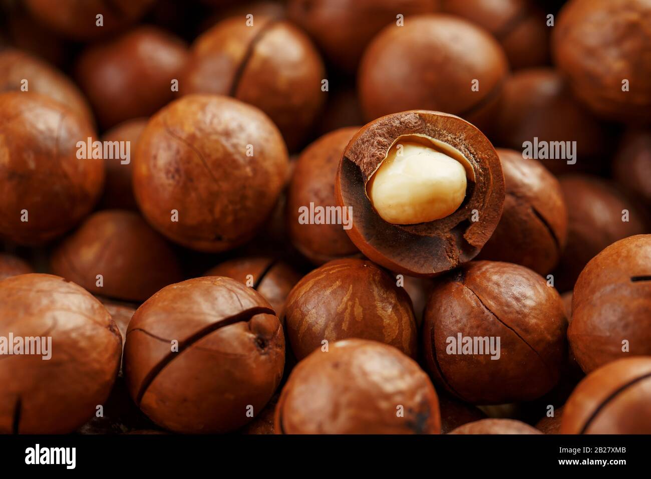 Texture of organic macadamia nut fresh natural fruit shelled one nut in ...