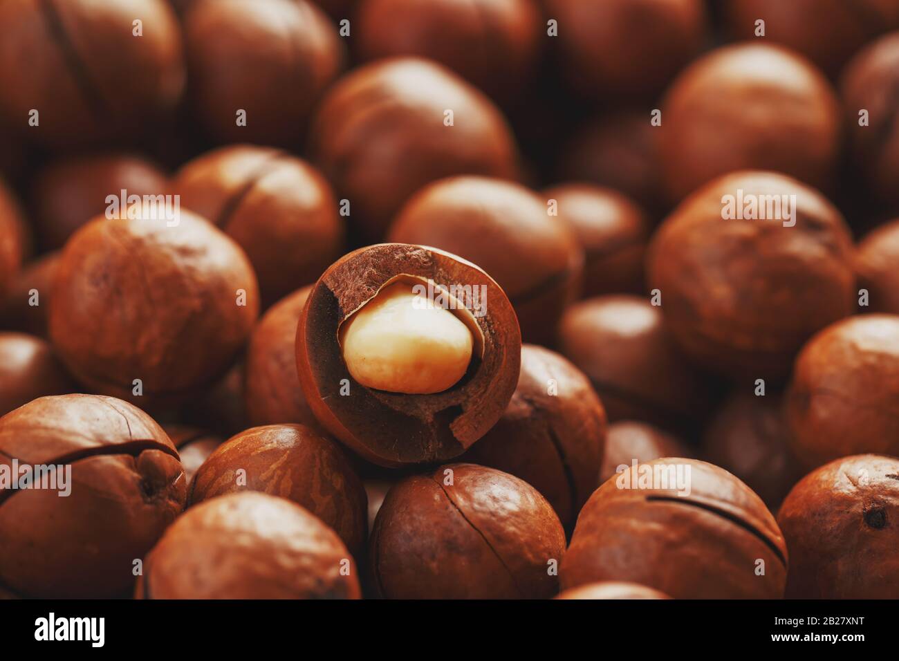 Texture of organic macadamia nut fresh natural fruit shelled one nut in ...