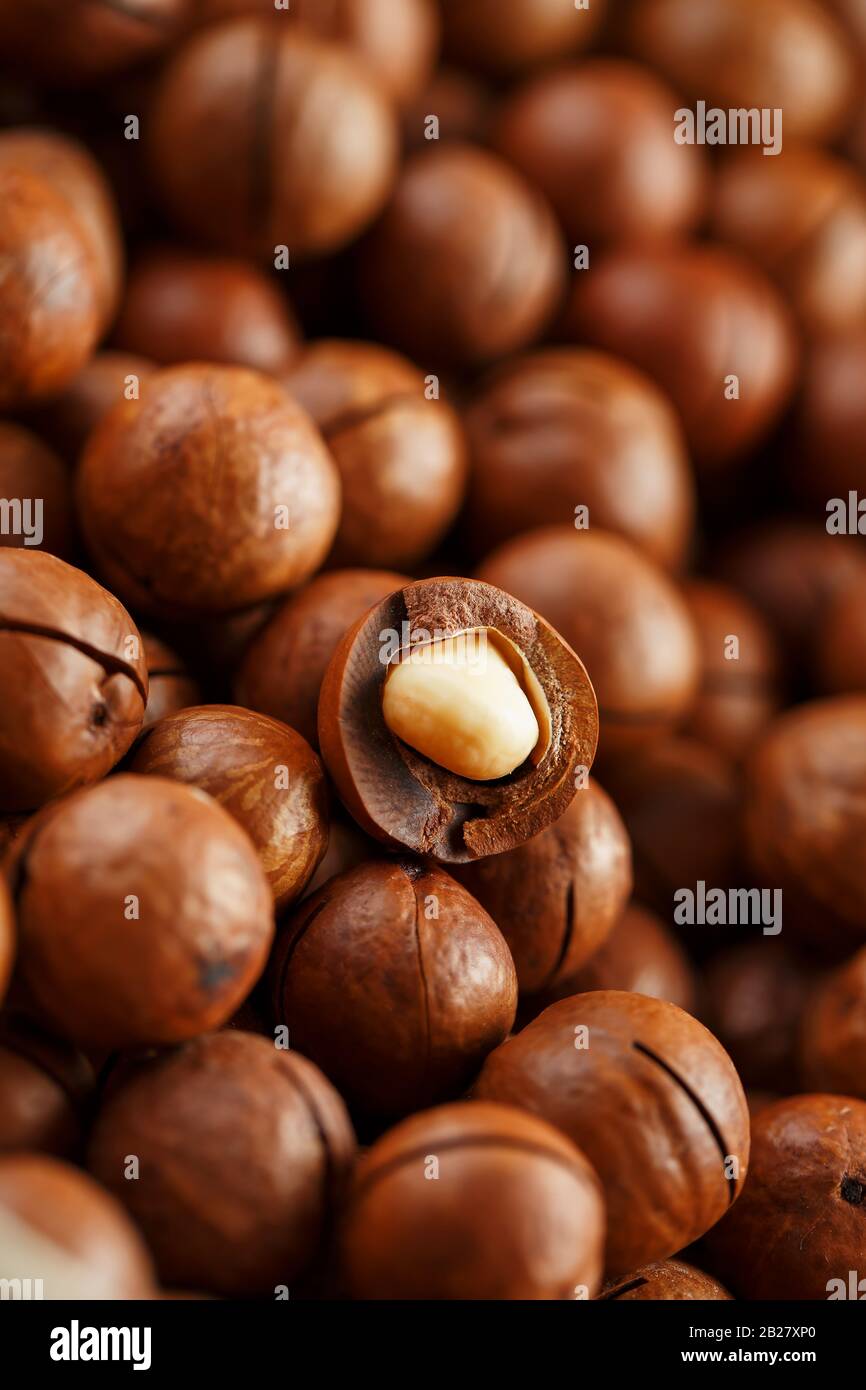 Texture of organic macadamia nut fresh natural fruit shelled one nut in full frame close-up view ...