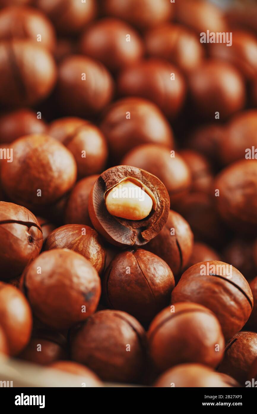 Texture of organic macadamia nut fresh natural fruit shelled one nut in ...