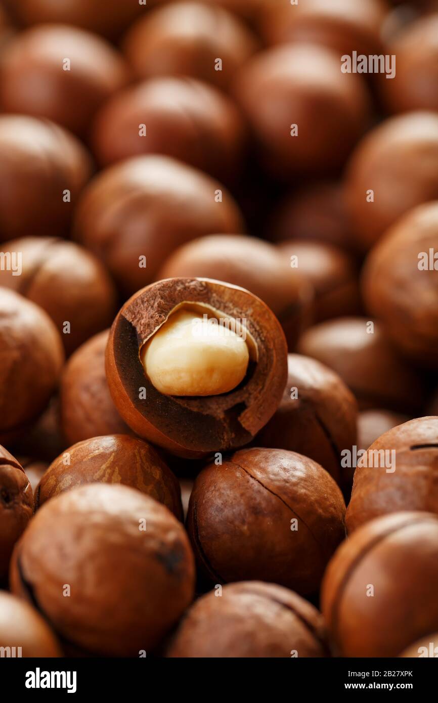 Texture of organic macadamia nut fresh natural fruit shelled one nut in ...