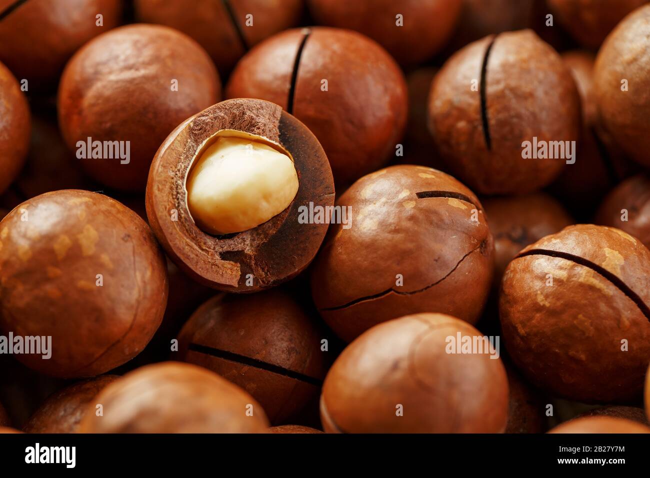 Texture of organic macadamia nut fresh natural fruit shelled one nut in ...