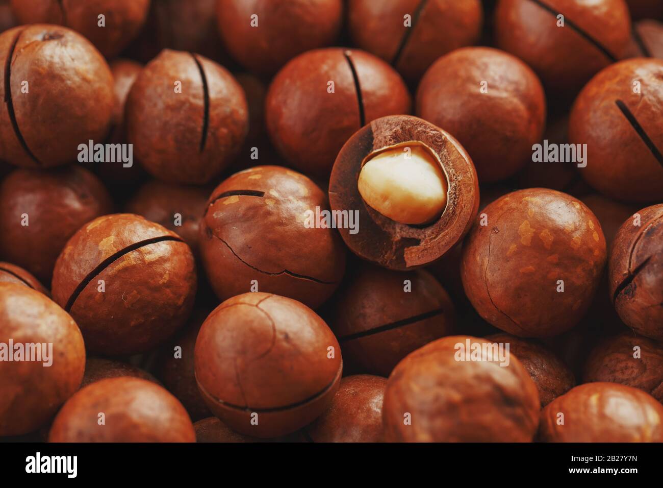 Texture of organic macadamia nut fresh natural fruit shelled one nut in ...