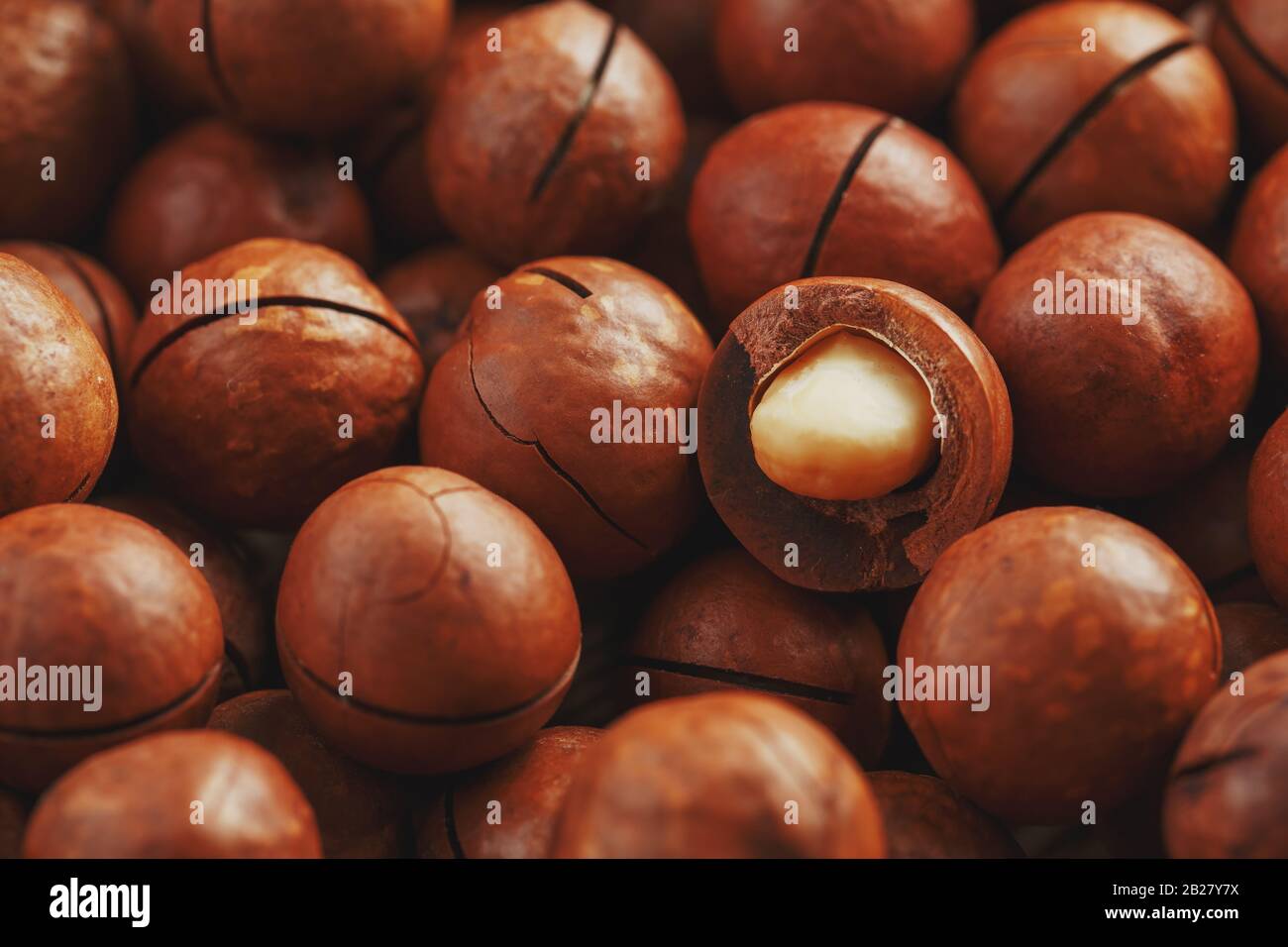 Texture of organic macadamia nut fresh natural fruit shelled one nut in ...