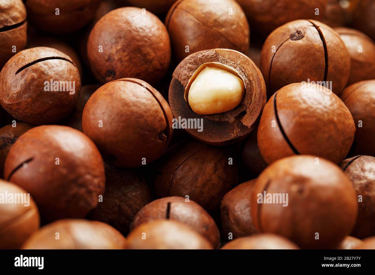 Texture of organic macadamia nut fresh natural fruit shelled one nut in ...