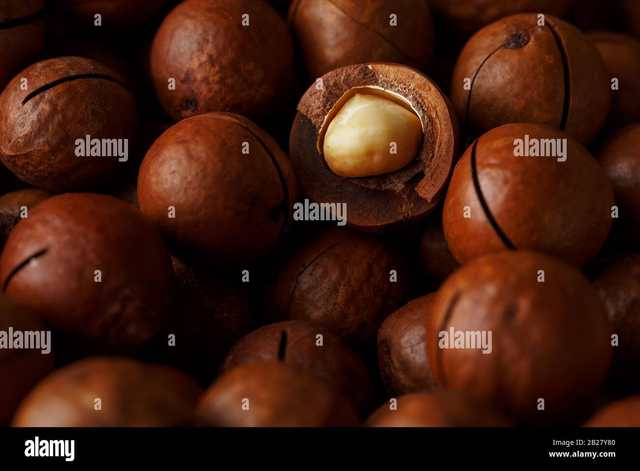 Texture of organic macadamia nut fresh natural fruit shelled one nut in ...