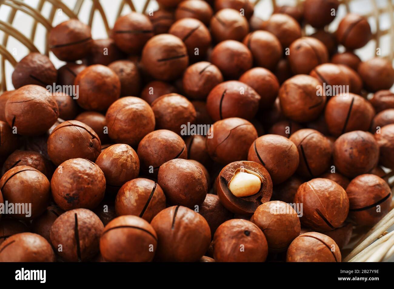 Texture of organic macadamia nut fresh natural fruit shelled one nut in ...