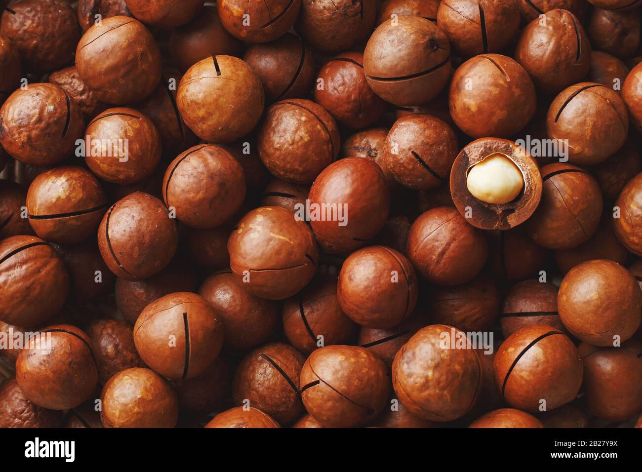 Texture of organic macadamia nut fresh natural fruit shelled one nut in ...