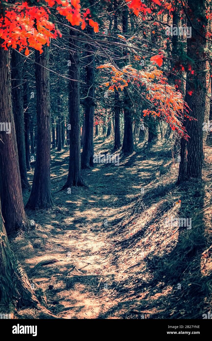 Vibrant autumn scenery hi-res stock photography and images - Alamy