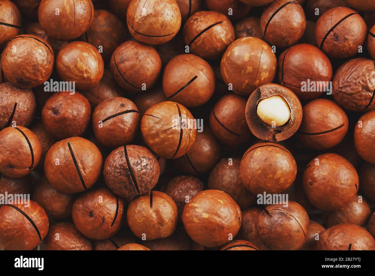 Texture of organic macadamia nut fresh natural fruit shelled one nut in ...