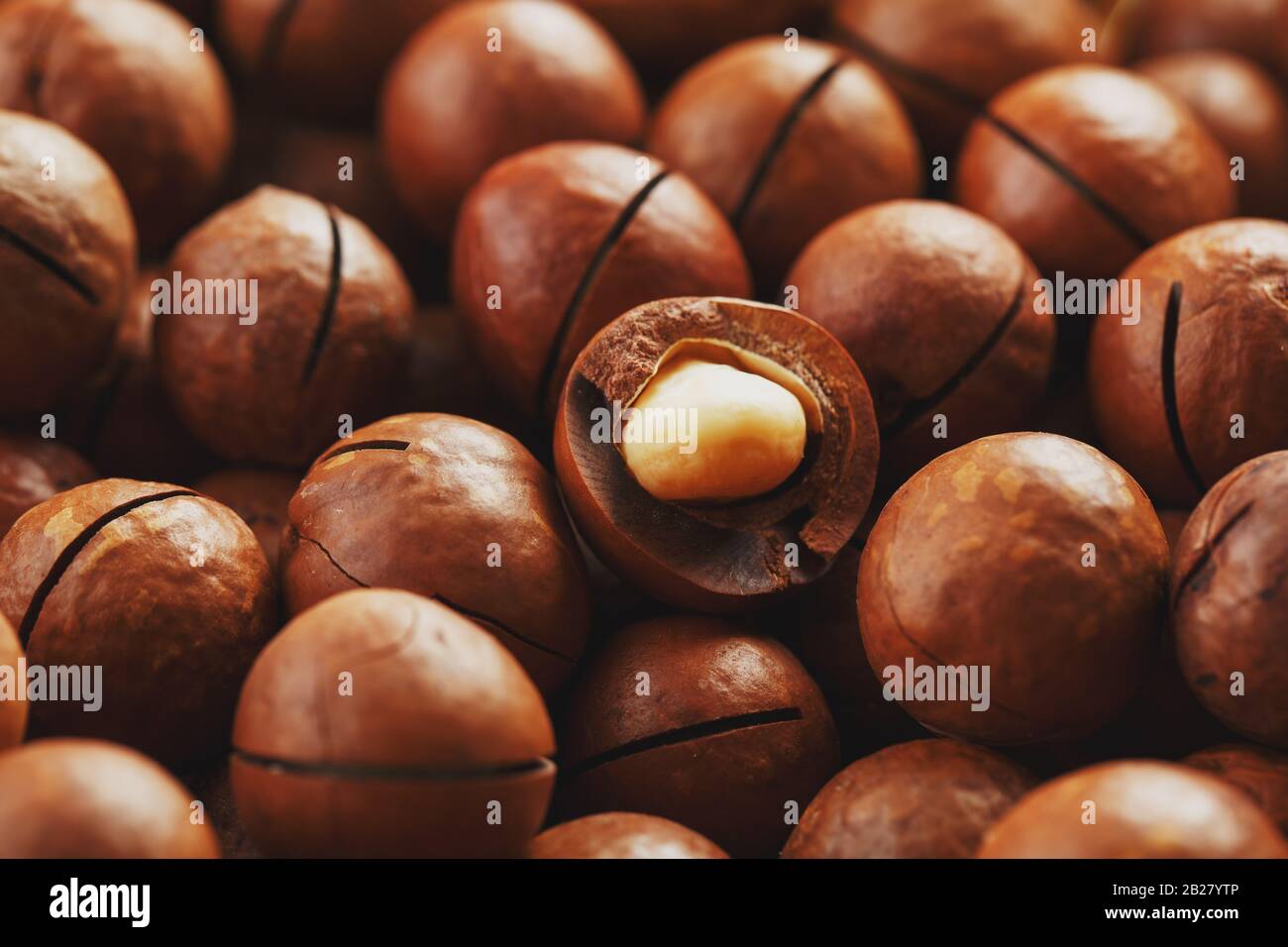 Texture of organic macadamia nut fresh natural fruit shelled one nut in ...