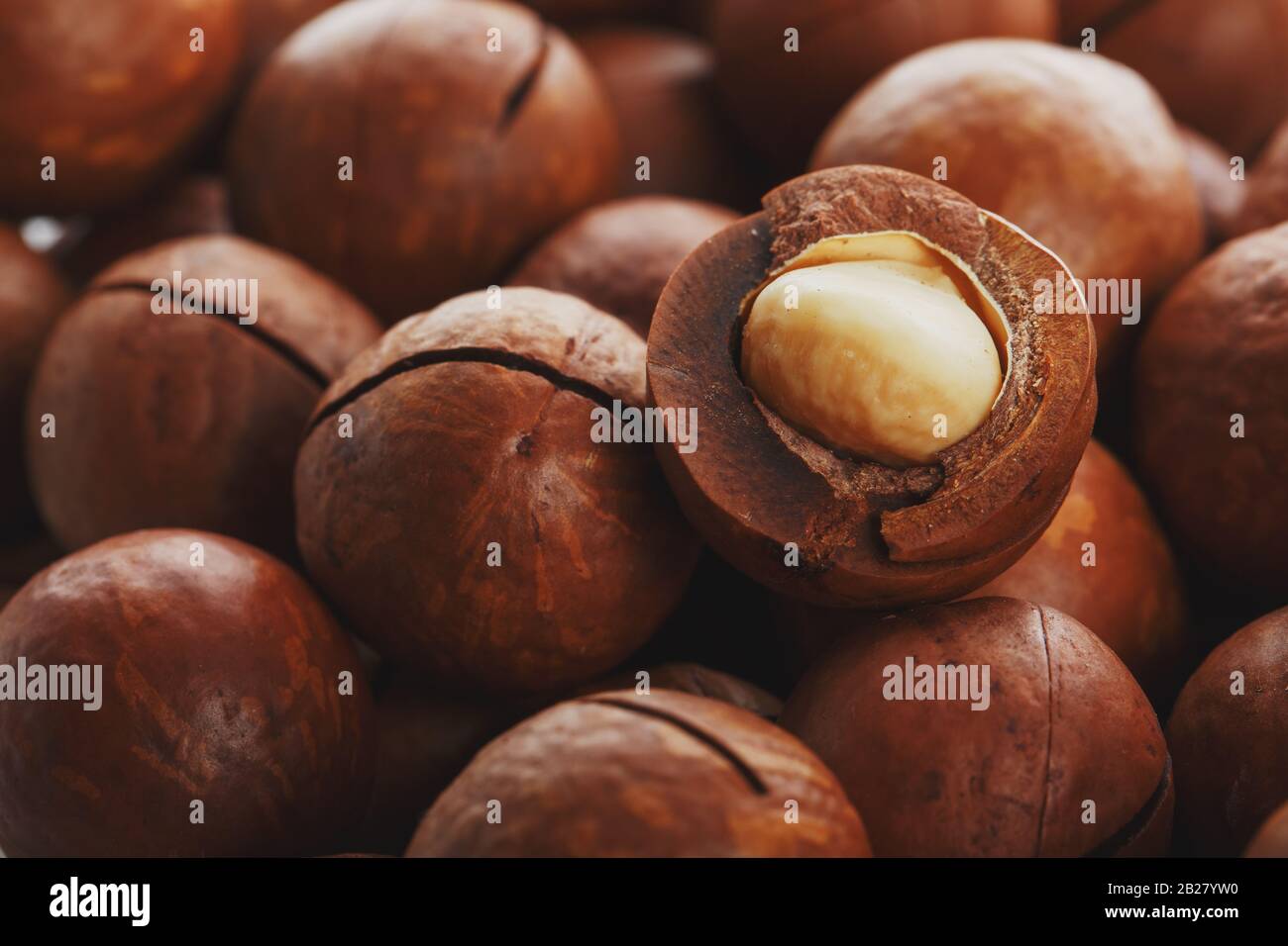 Texture of organic macadamia nut fresh natural fruit shelled one nut in ...