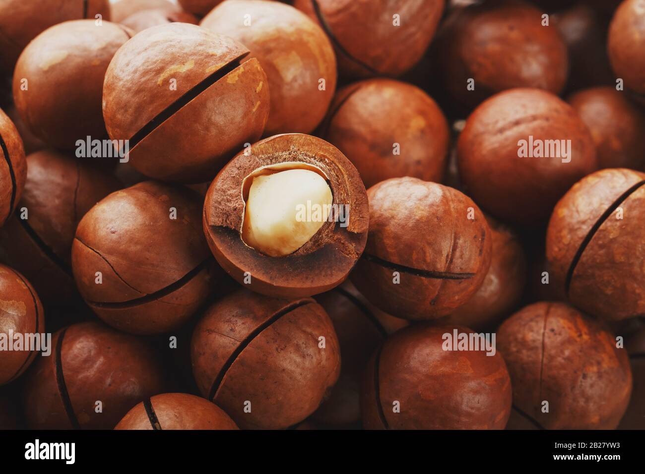 Texture of organic macadamia nut fresh natural fruit shelled one nut in ...