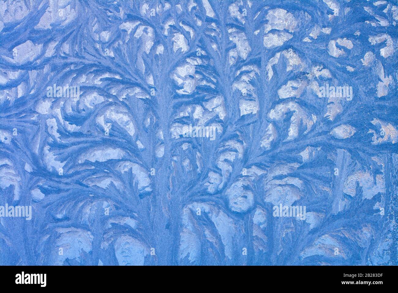 Frostwork. Beautiful frosty patterns on the glass. Fancy winter ...