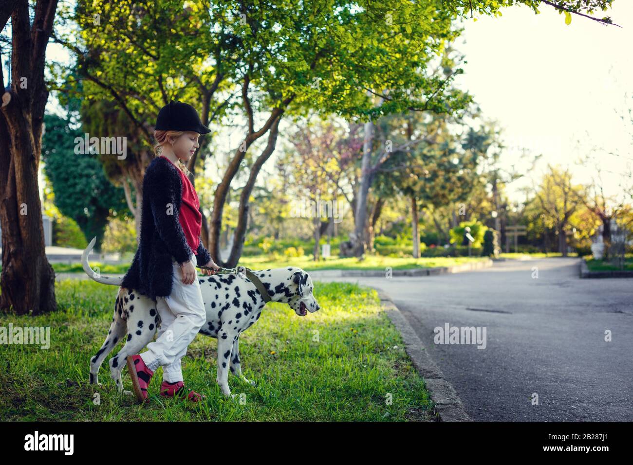 Young girl with her Dalmatian dogs in a spring park. Sunset time, red ...