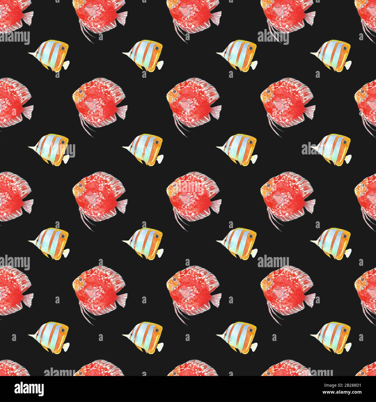 Seamless pattern of discus and butterfly fish. Hand drawing sketch on ...