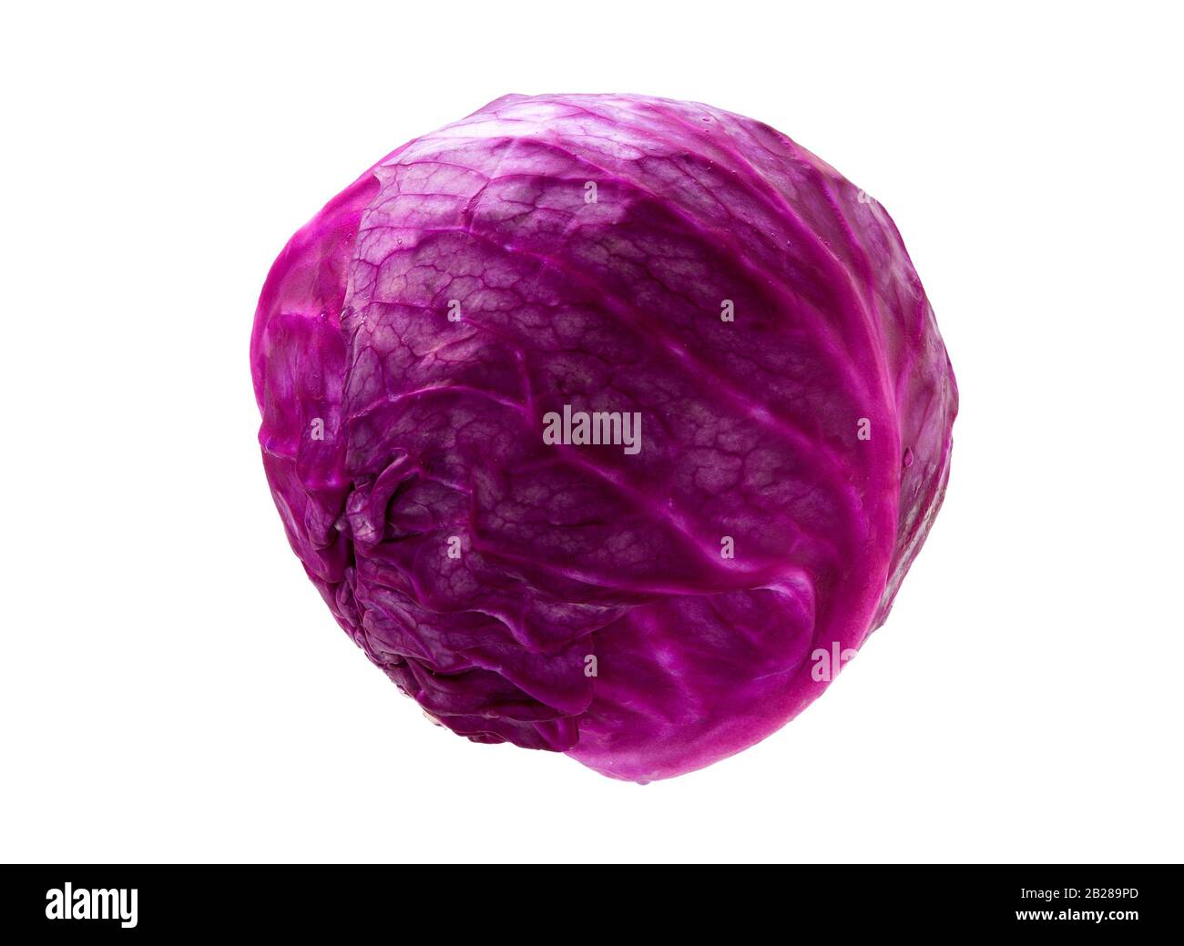 Cabbage Red isolated above white background. Fresh Purple cabbage Stock ...