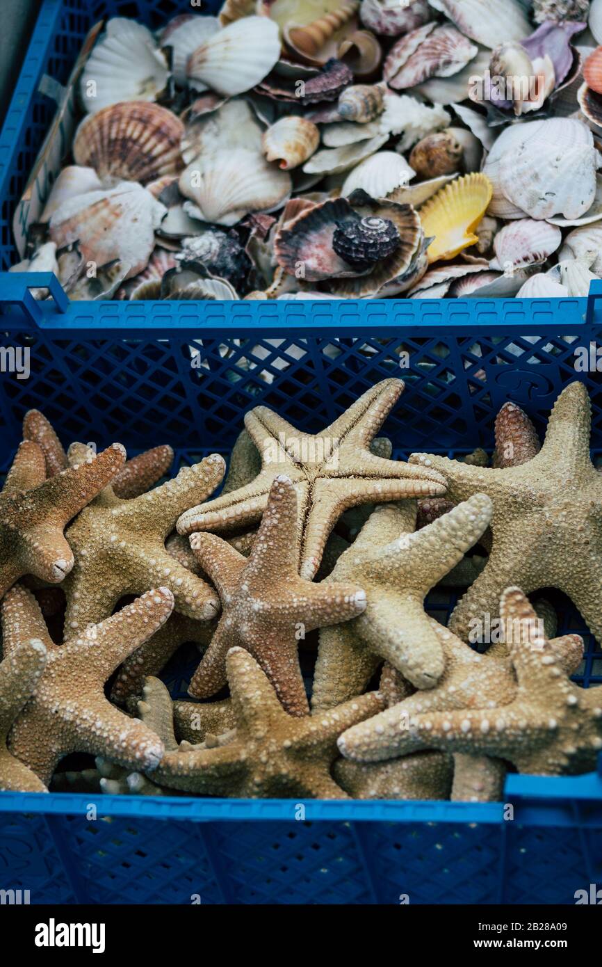 Paphos Cyprus February 29, 2020 View of decorative objects sold in a ...