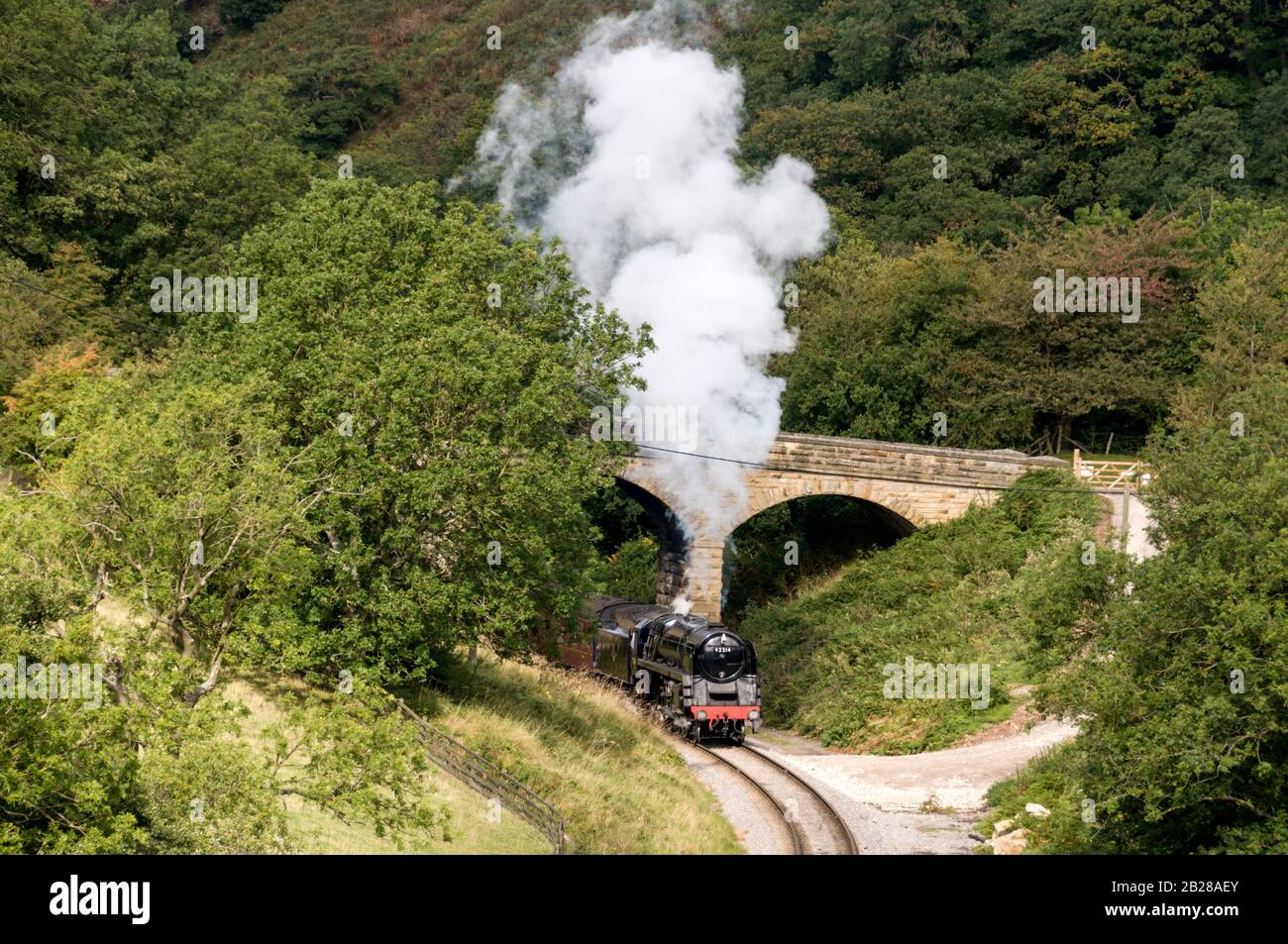 A steam train of the North Yorkshire Moors railway on its way to ...