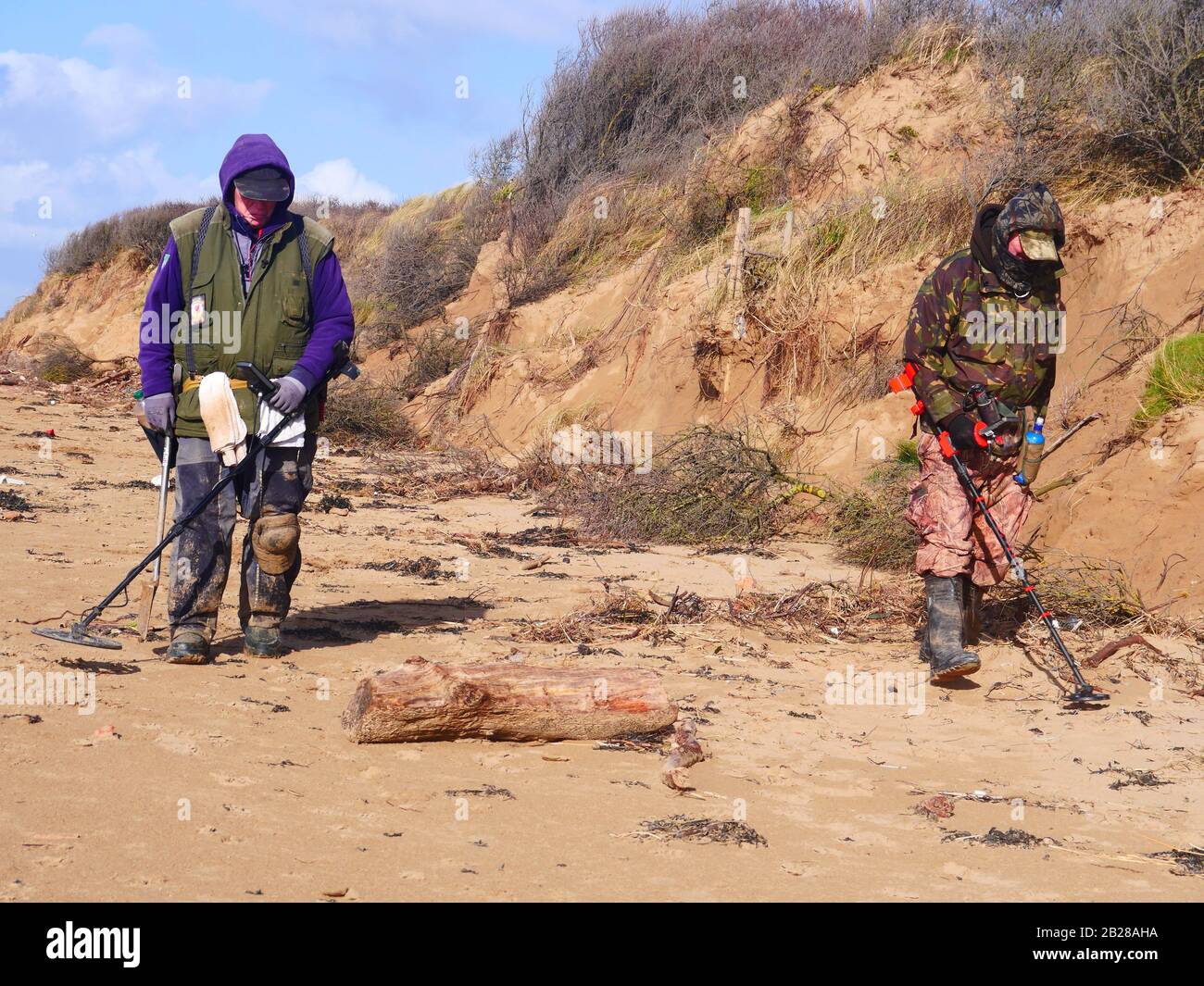 Metal detecting on Somerset beach, UK Stock Photo - Alamy