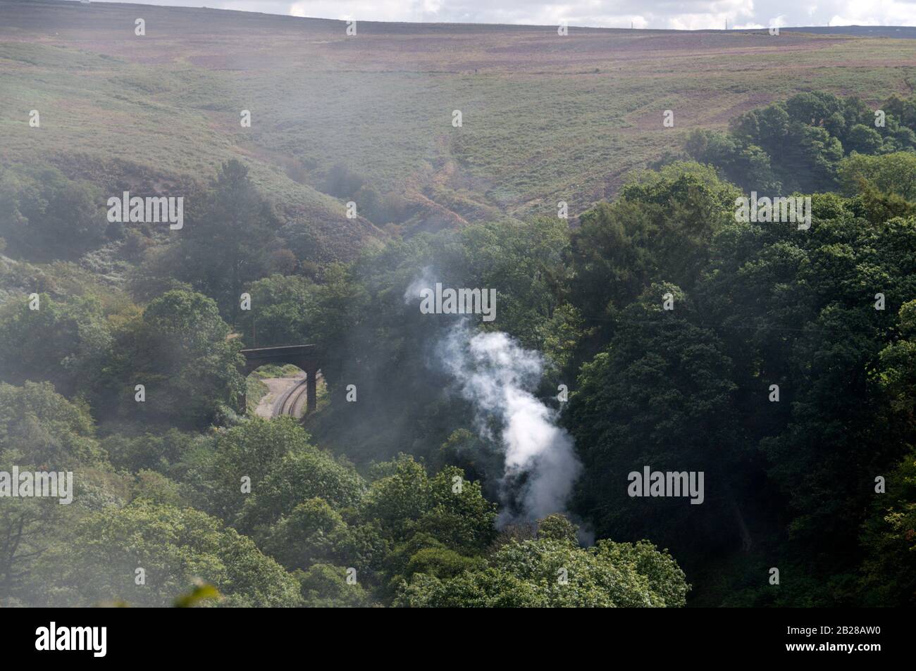 Drifting steam from a steam train of the North Yorkshire Moors railway ...