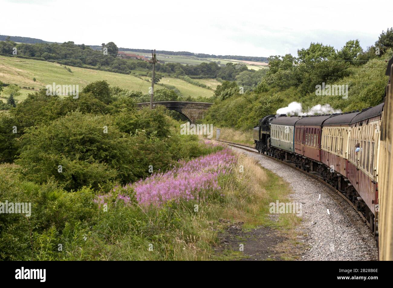 A passenger steam train of the North Yorkshire Moors railway heading ...