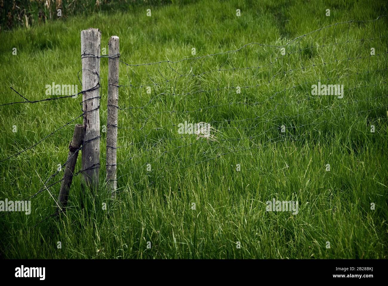 Makeshift farm hi-res stock photography and images - Alamy