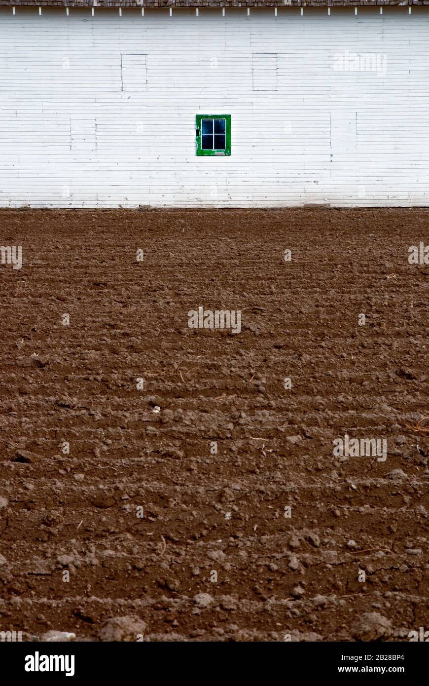 Small green framed window on the side of a white barn behind a field of ...