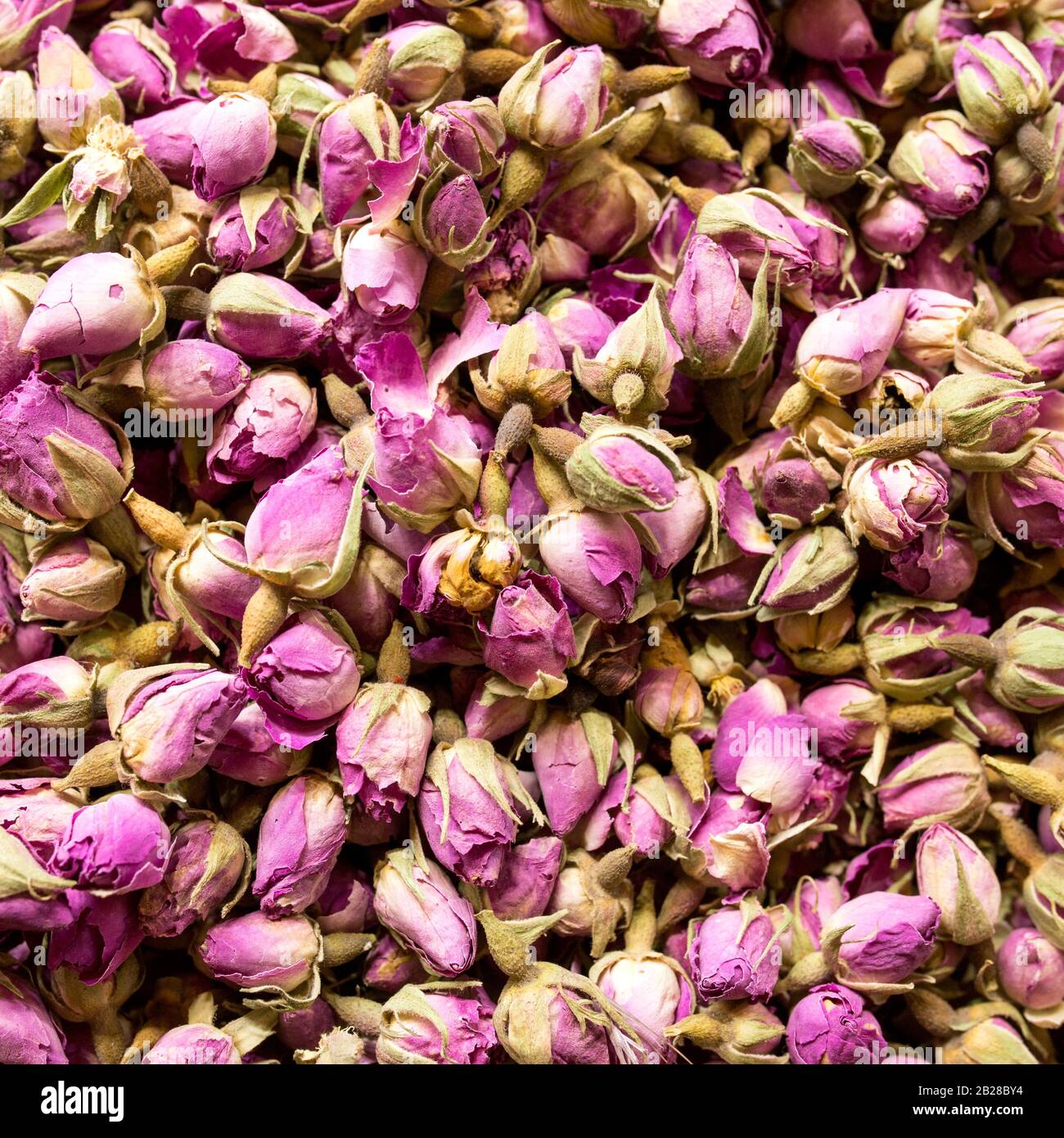 Dried pink roses tea Stock Photo - Alamy