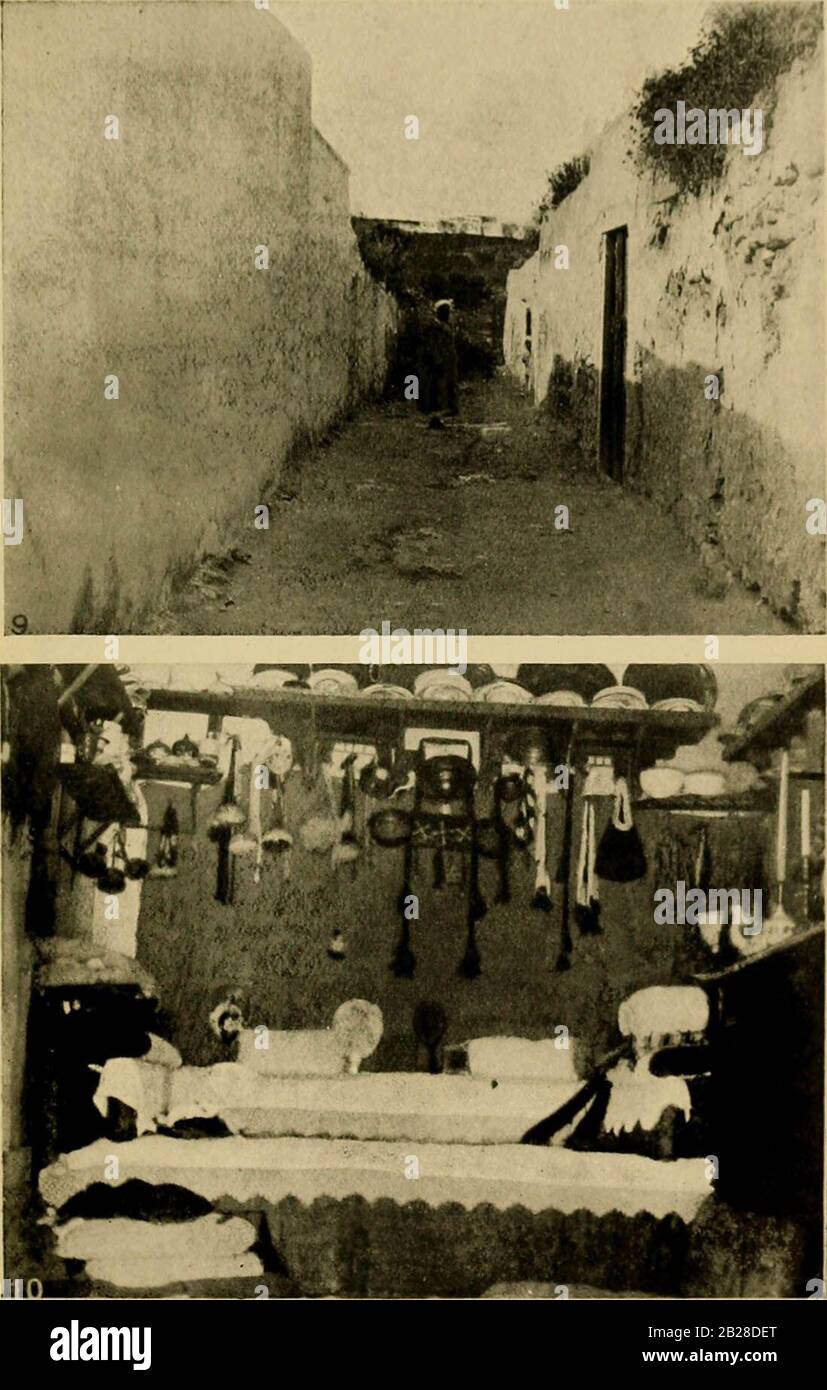 "The ban of the Bori; demons and demon-dancing in West and North Africa ...