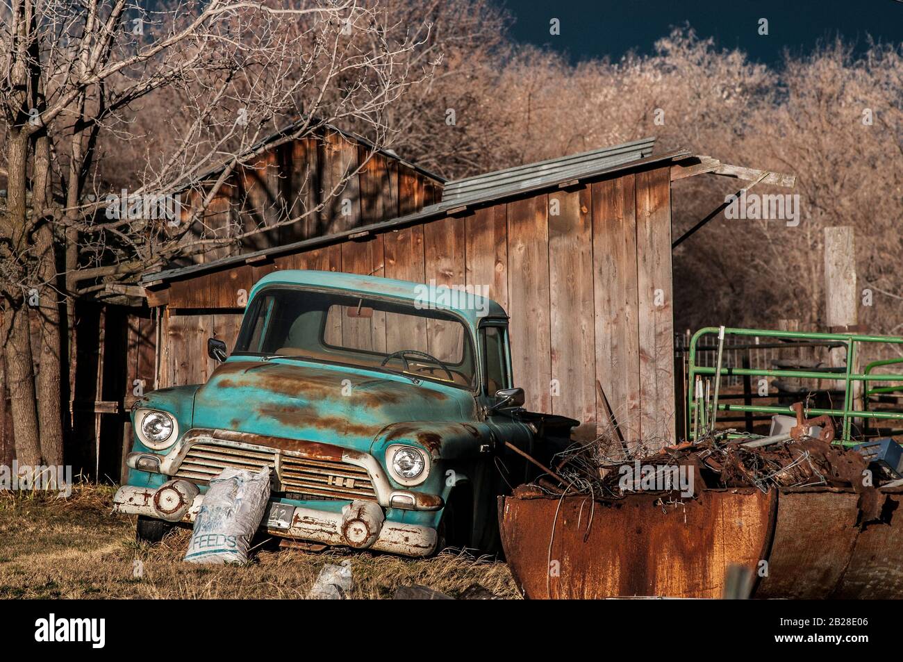 Antique warm front lit rusty light blue pickup truck sits near a rusty ...
